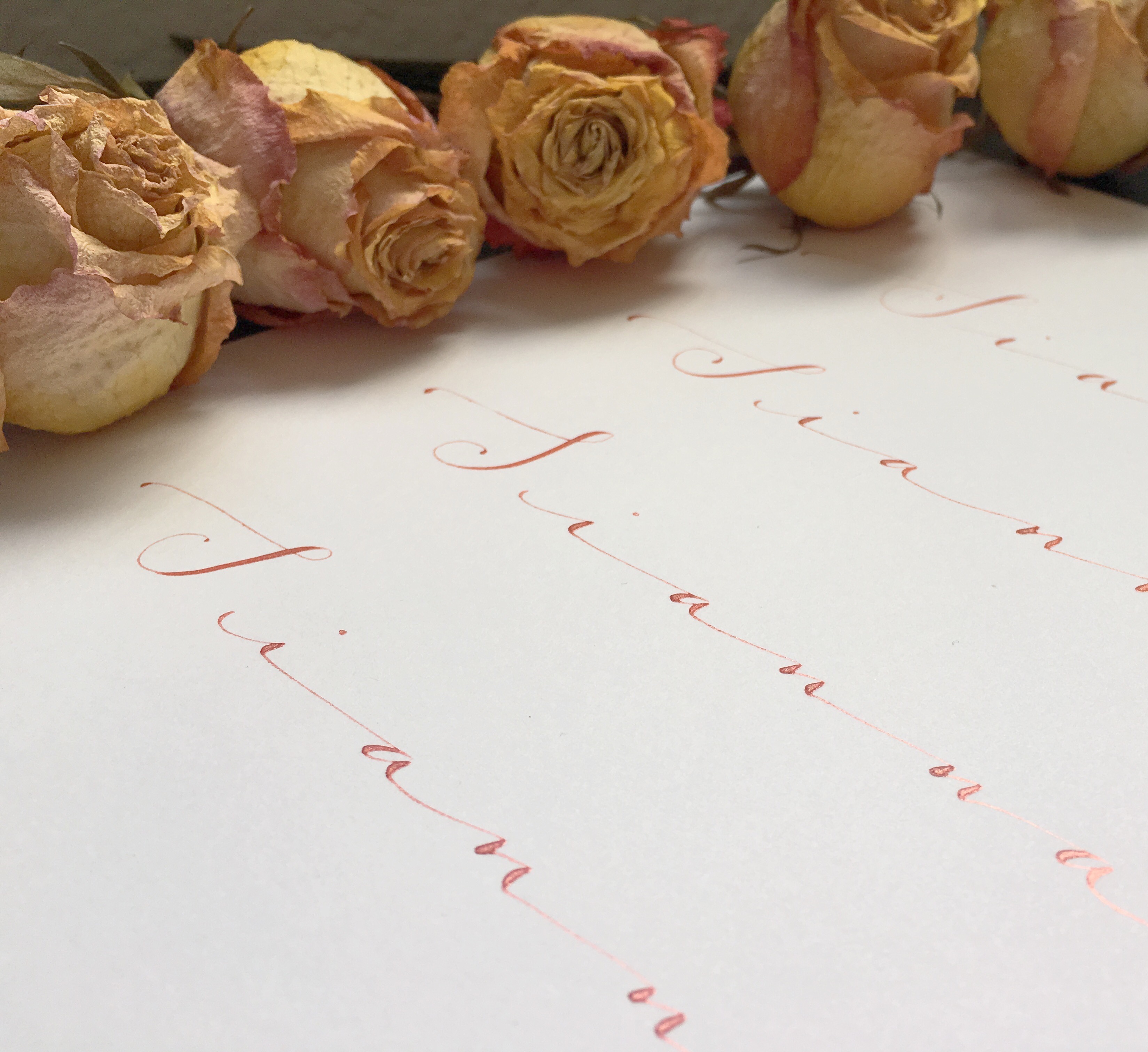 calligraphy: baby girl nursery art-print – Andrea Casals