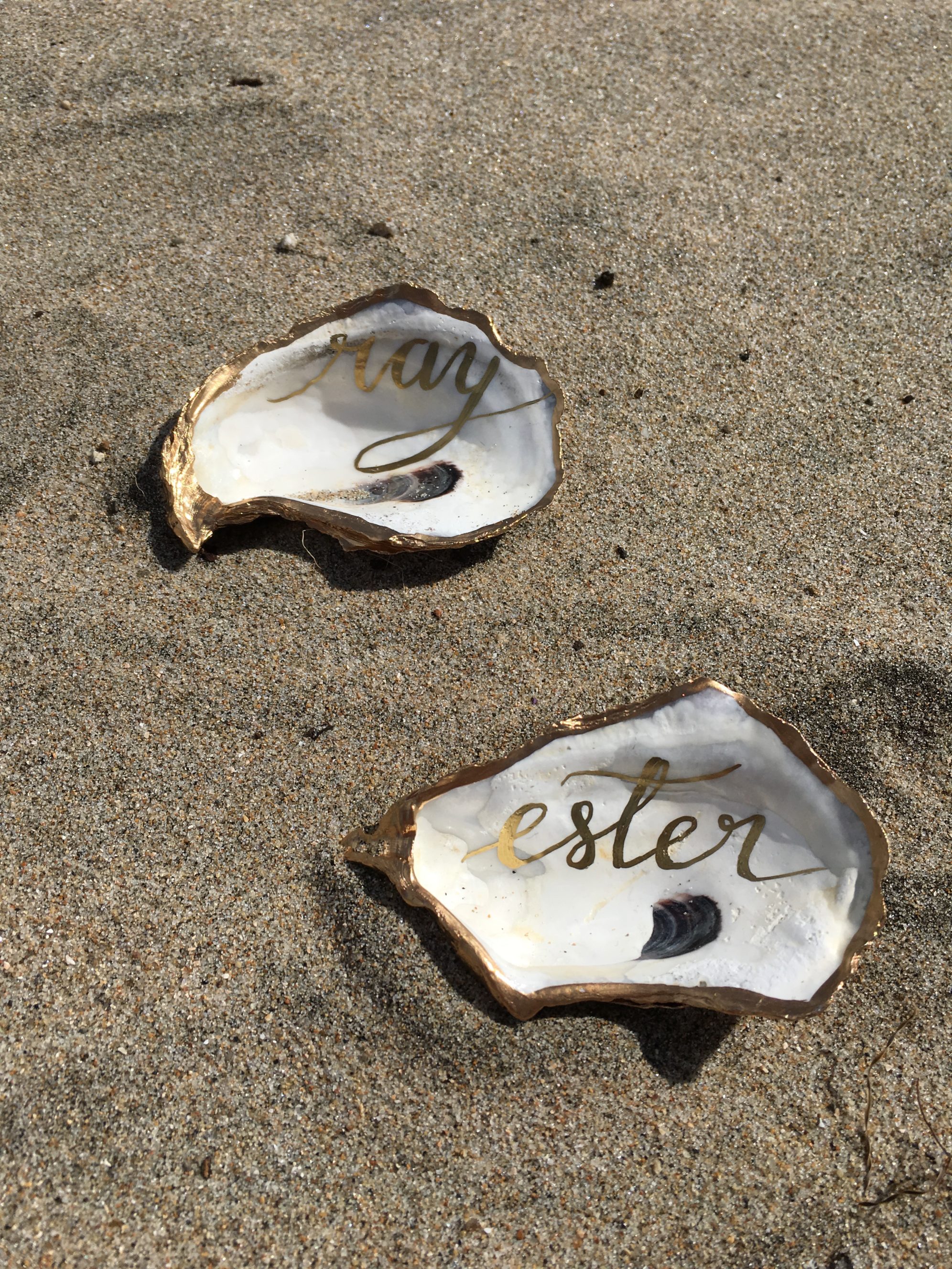 calligraphy: lettering on sea shells – Andrea Casals